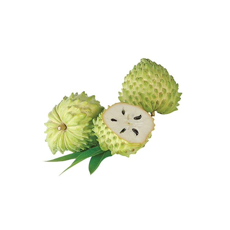 Soursop Anona Graviola Guanabana Oil (organic, cold pressed, undiluted ...